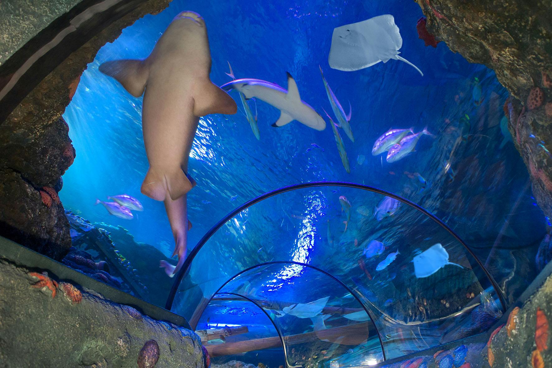 Acquario Genova